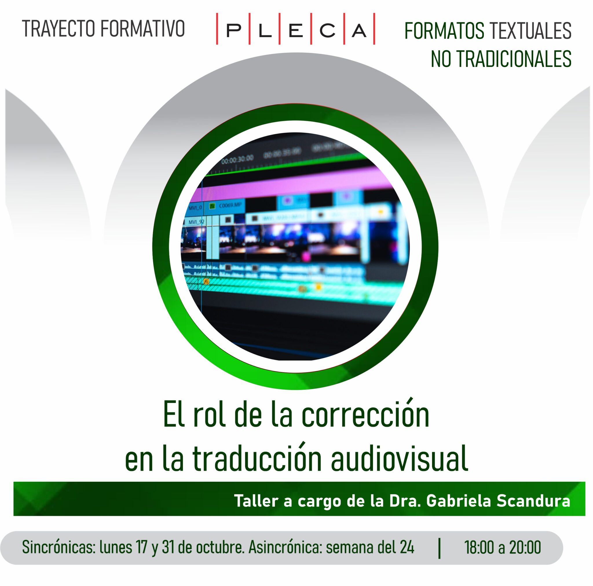 El rol de la corrección en la traducción audiovisual – PLECA ...