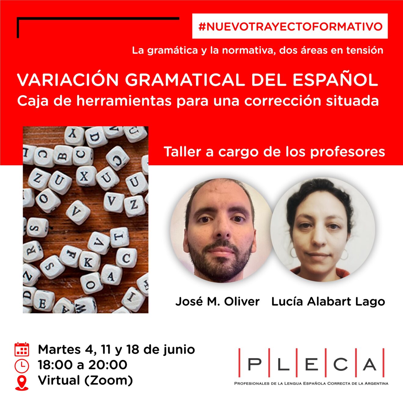 Variación gramatical del español: caja de herramientas para una ...